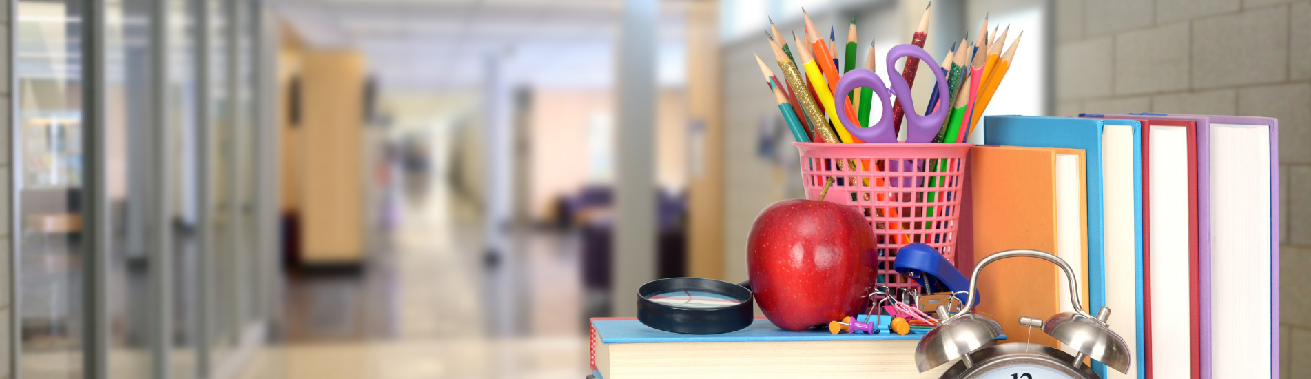 Curriculum Development – Ministry of Education