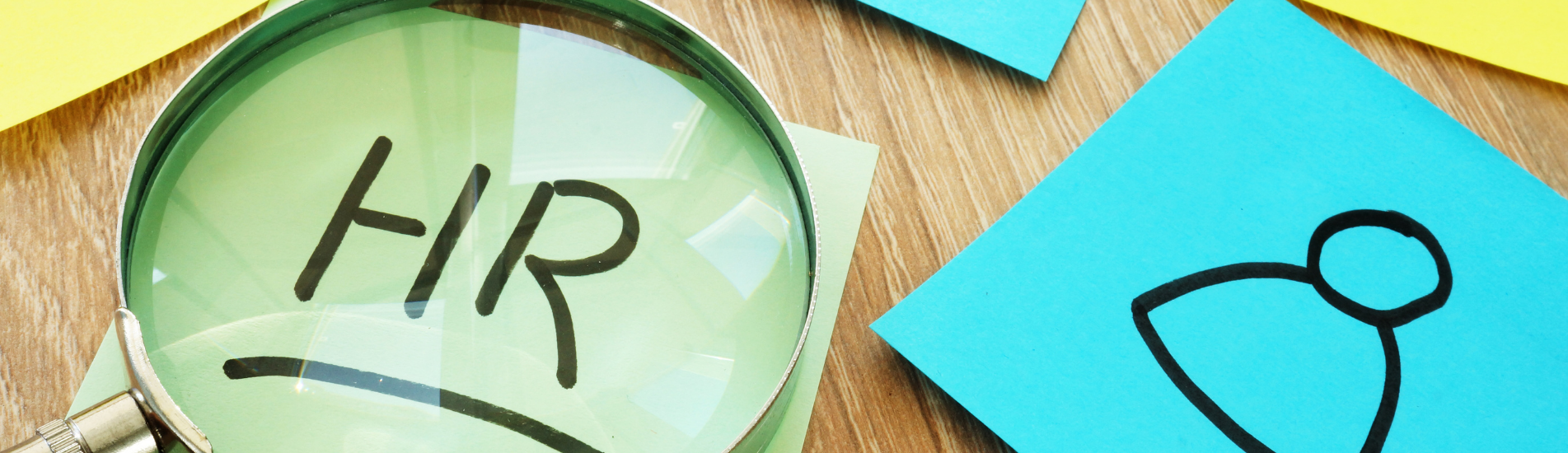 Divisions – Ministry of Education