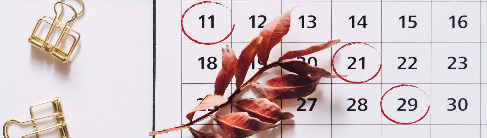 CXC – Ministry of Education