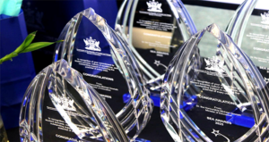 2025 SEA Recognition Ceremony: A Celebration of Achievement, Equity ...